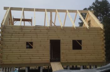 Log Profiles avaiable with the hunter cabins, compact, affordable